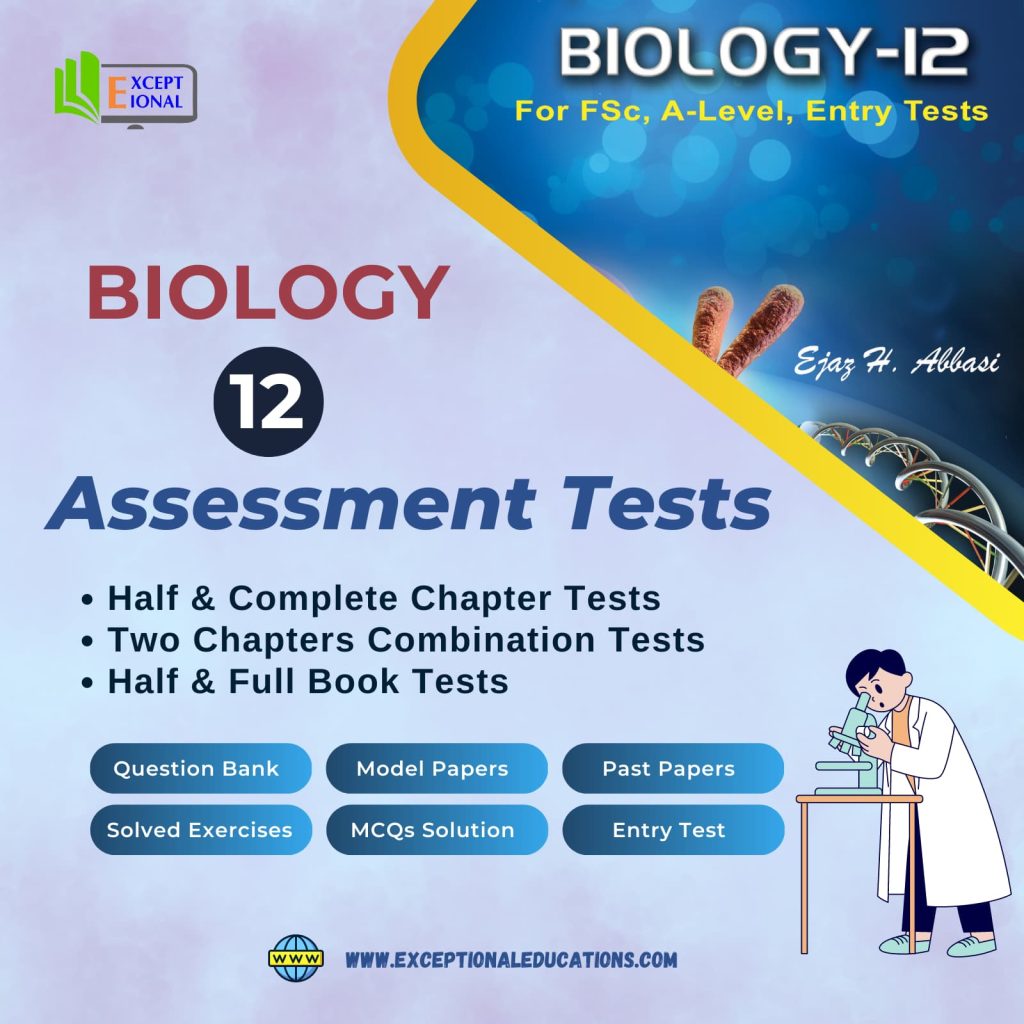 Exceptional Education System – Exceptional Education System